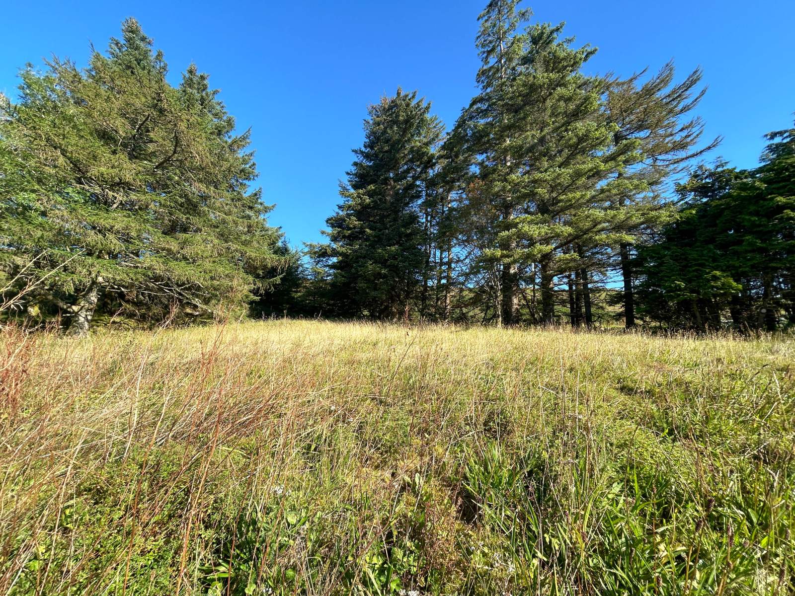 1 The Steadings, Crossal, Drynoch, Carbost, Isle of Skye, IV47 8SP