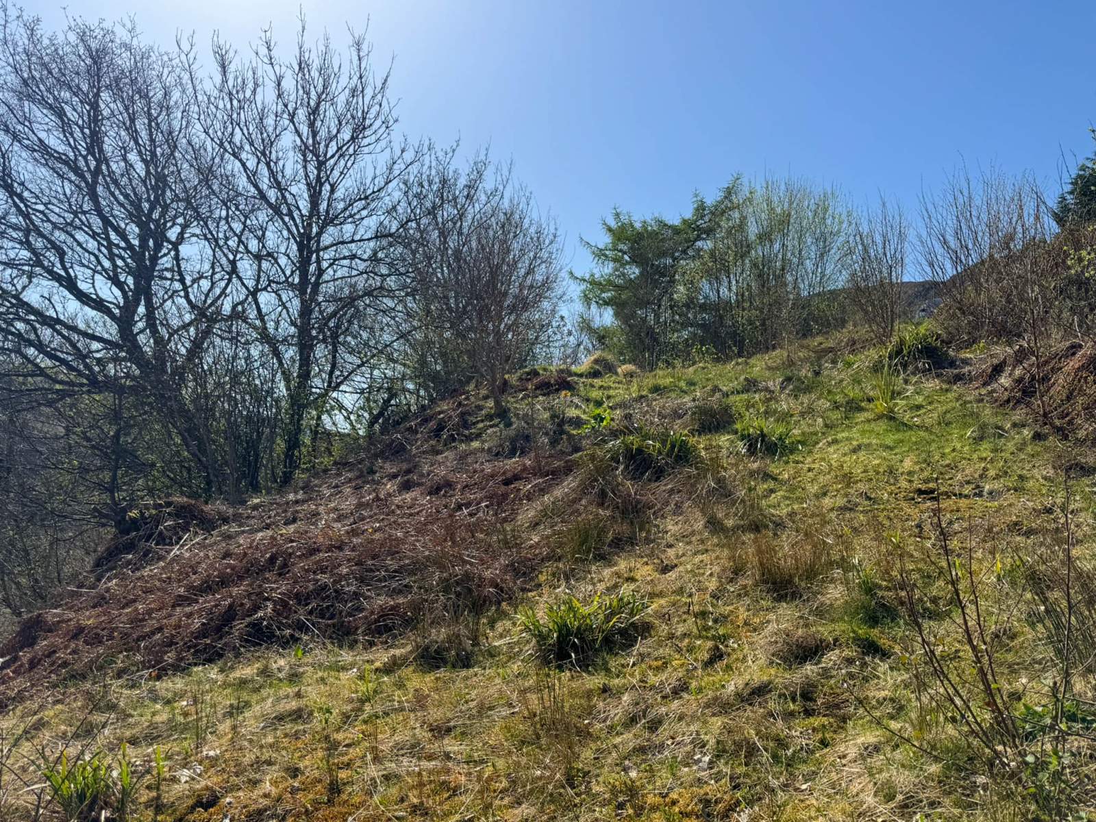 Allt-Nan-Sugh, Dornie, Kyle, IV40 8DZ