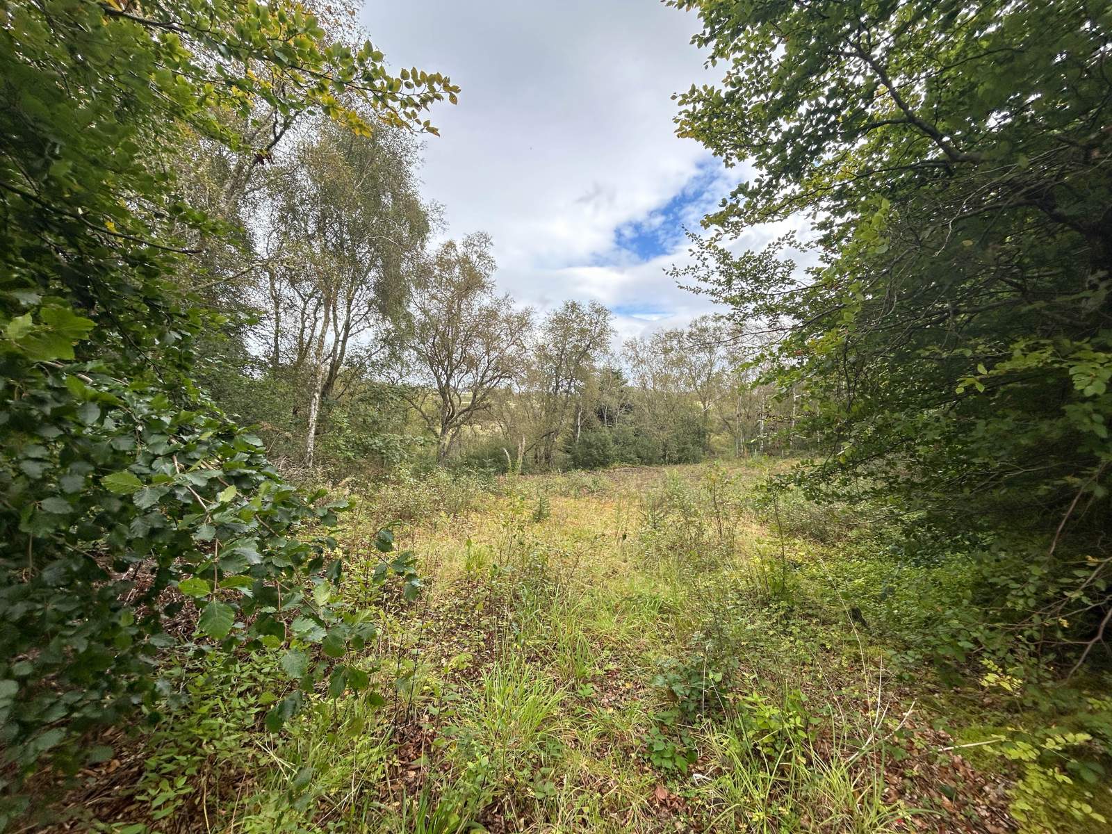 Riverside Plot Skeabost Bridge, Portree, Isle of Skye, IV51 9NP